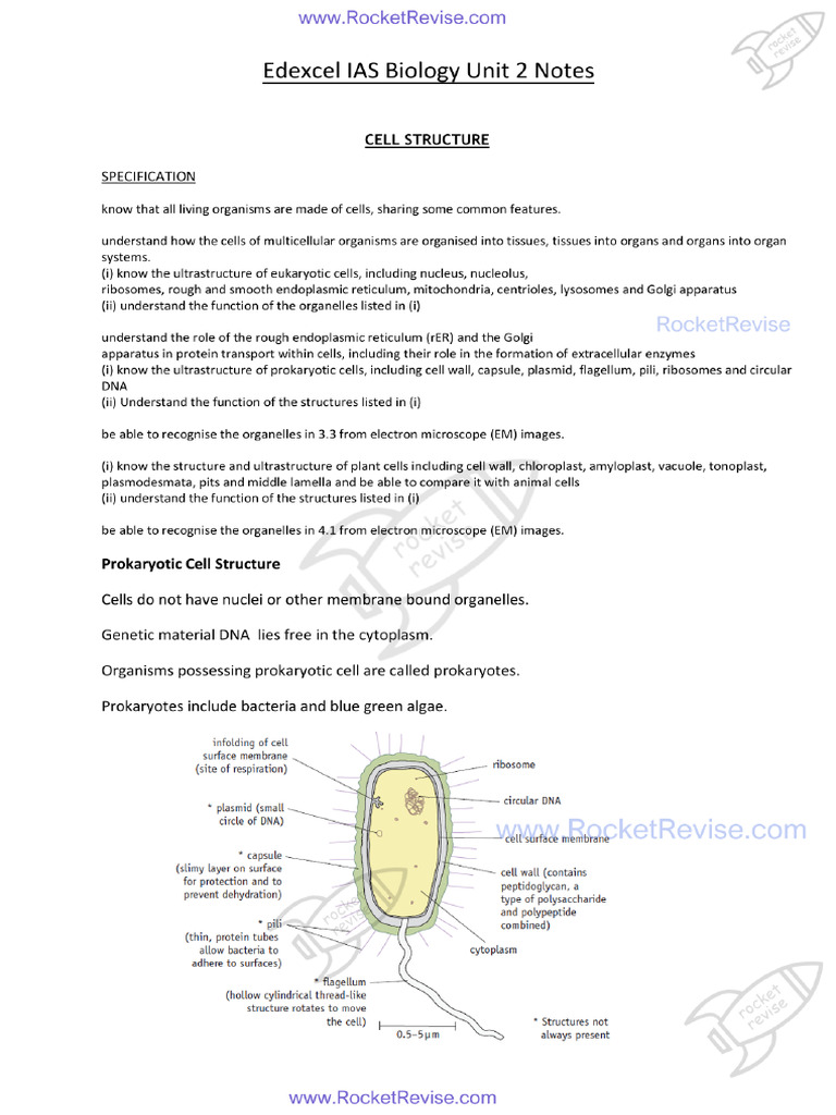 Unit2 Final | PDF
