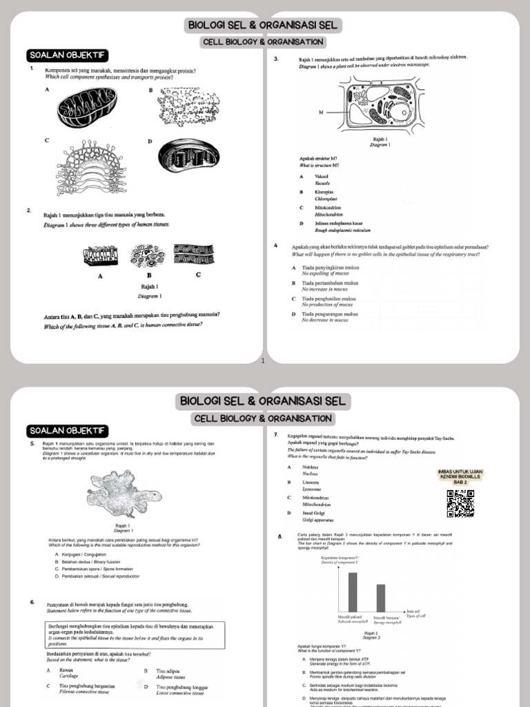 BIODRILLS TOPICAL F4 - Chapter 1 To 4 | PDF