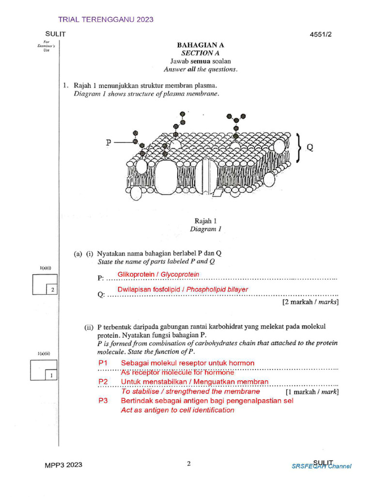 f4 Skema Module Biology Chapter 3 | PDF
