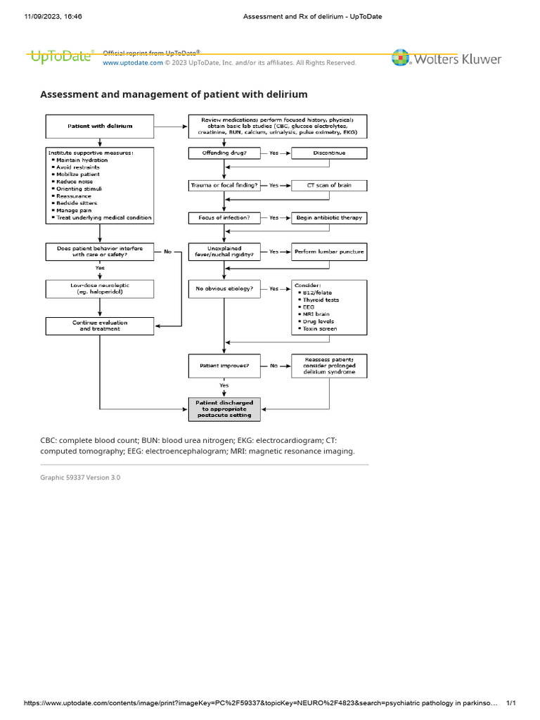Delirium Assessment and Management Guide | PDF