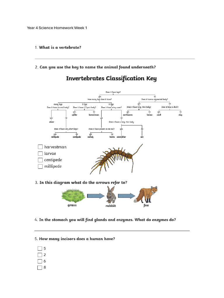 Year 4 Science Homework Week 3 | PDF