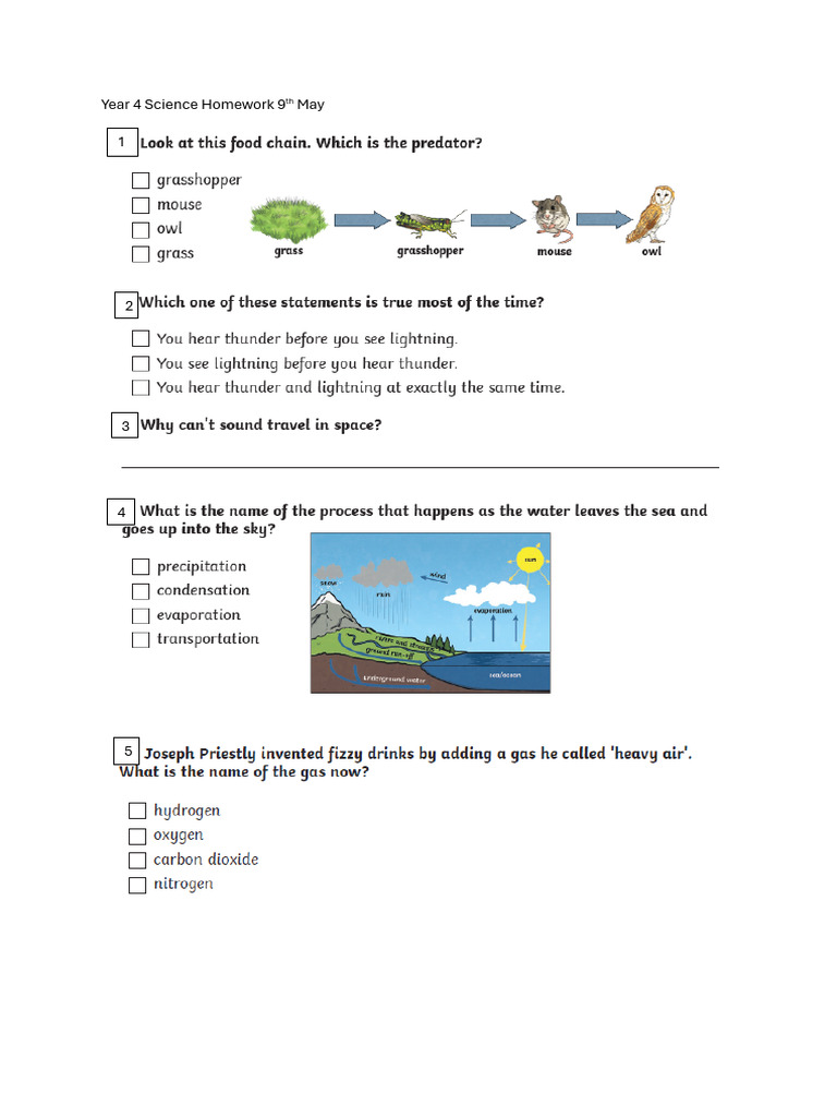 Year 4 Science Homework 9th May | PDF