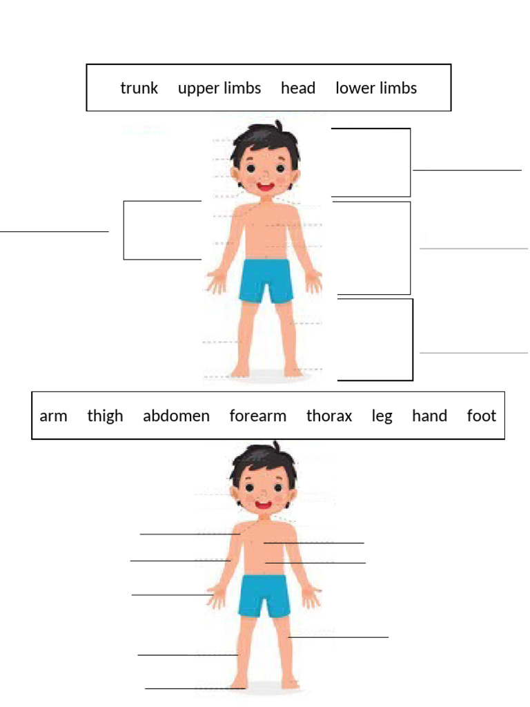 Labeling | PDF