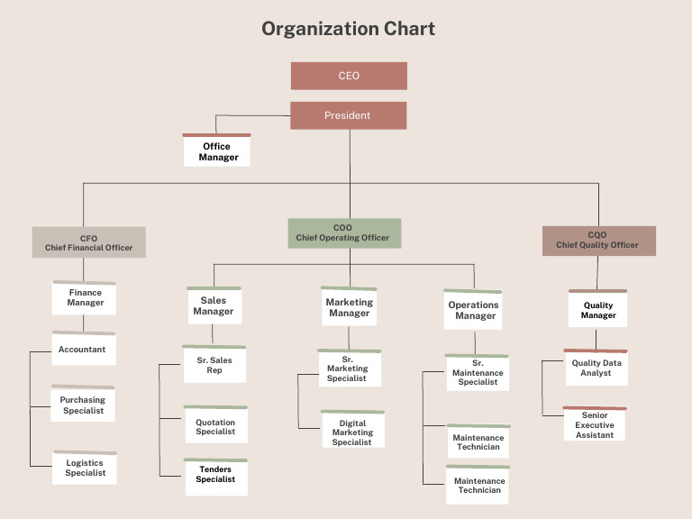 Organization Chart | PDF