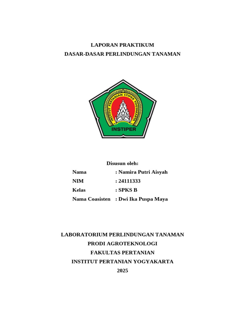Format Laporan Sementara DPT 2025 MIRAPUNYA | PDF