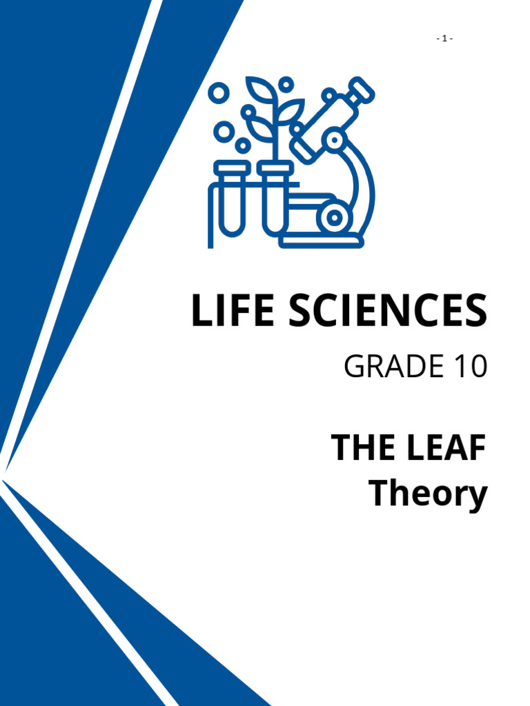 Leaf Structure and Photosynthesis | PDF | Leaf | Stoma