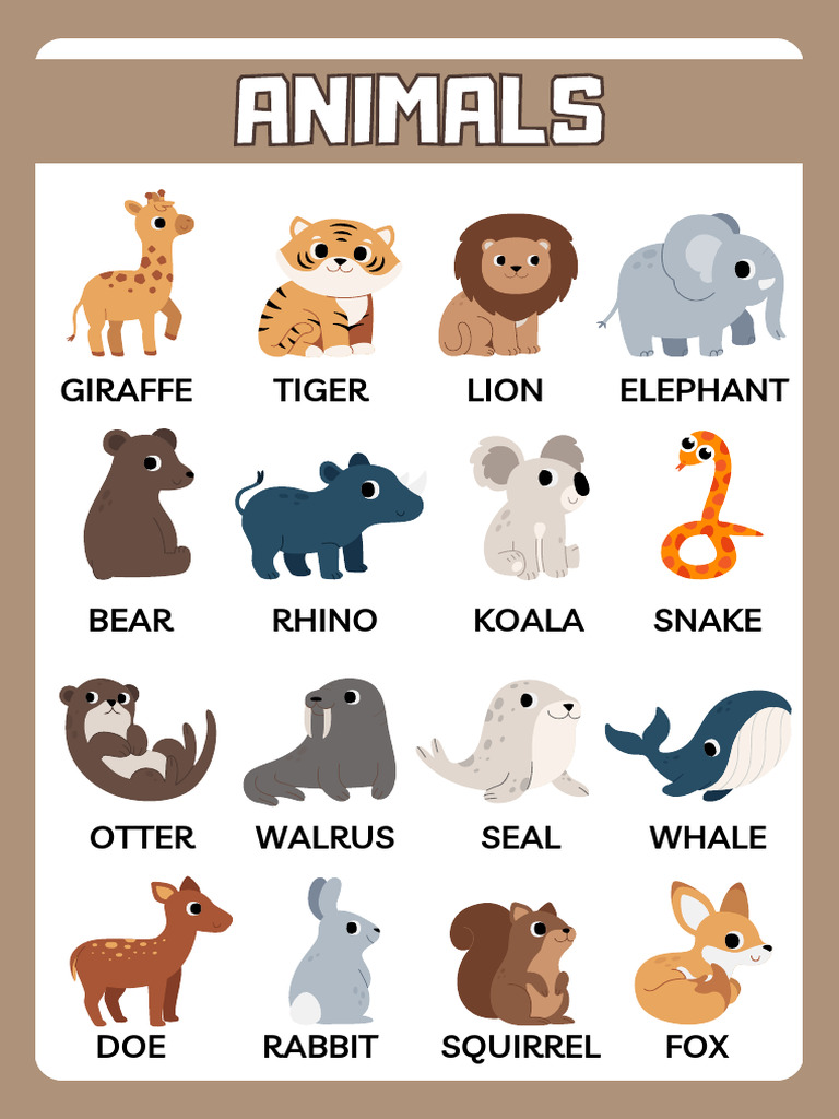 Colourful and Black and White Simple Animals Picture Dictionary | PDF