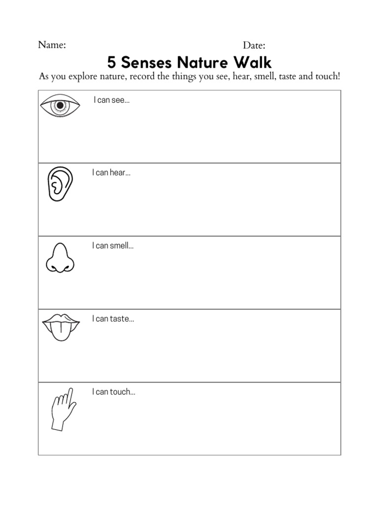 5 Senses Nature Walk Copy | PDF