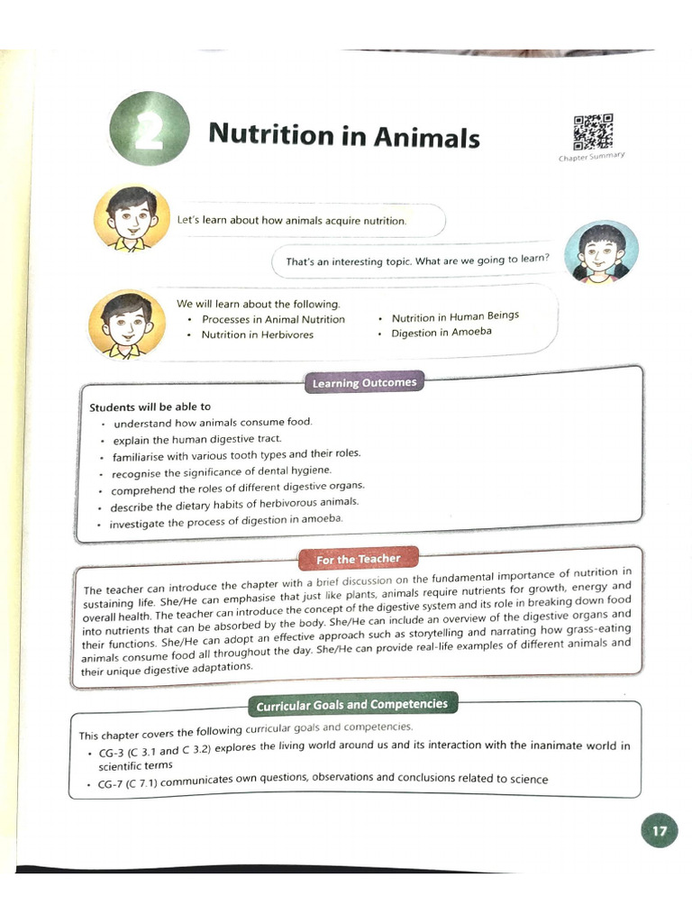 Nutrition in Animals | PDF