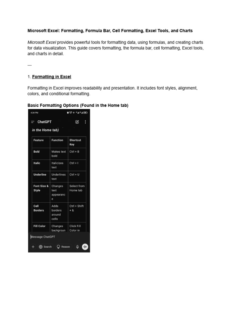 Excel Formatting and Formula Guide | PDF