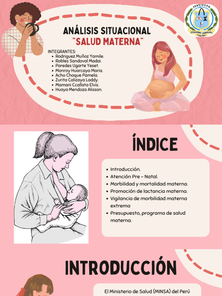 Presentación Matrona Medicina Embarazo Salud Mujer Ilustrado Rosa Rojo | PDF | Muerte materna ...