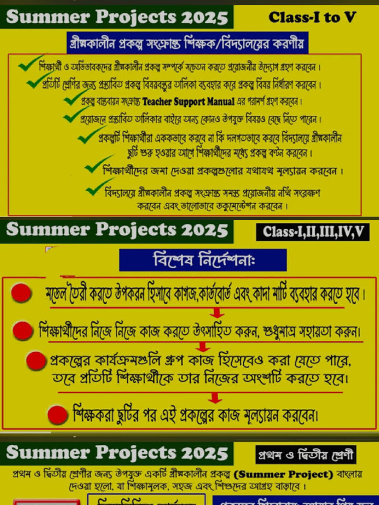 Summer Project 2025 | PDF
