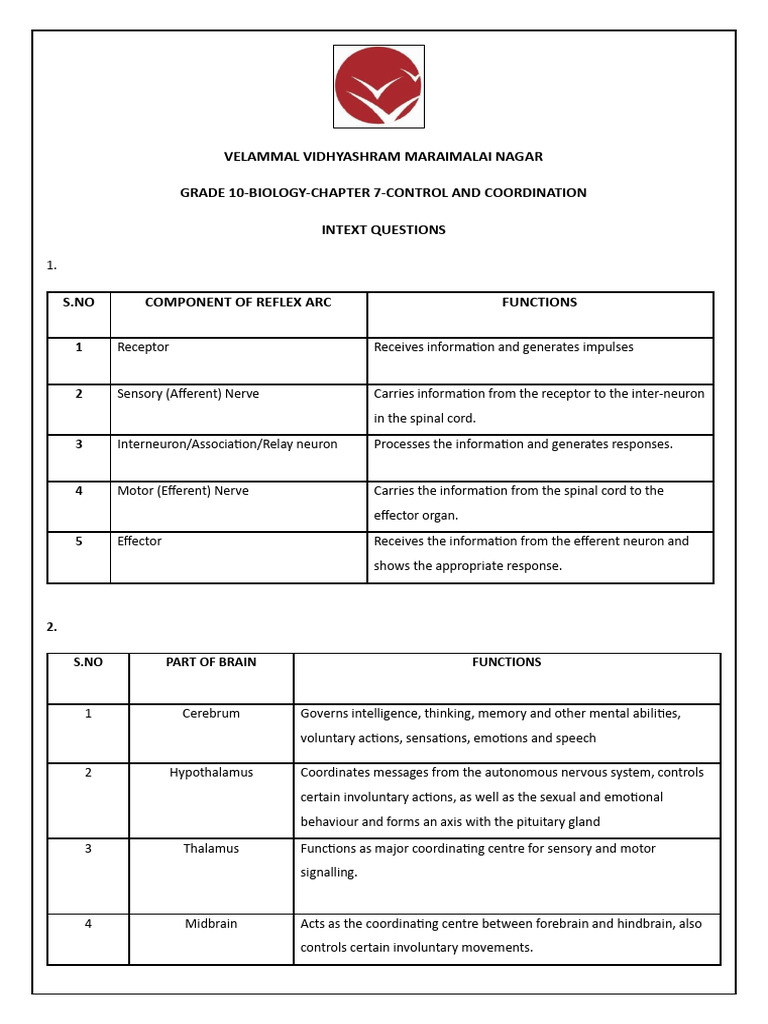 GR10 - Control and Coordination | PDF | Hormone | Brain