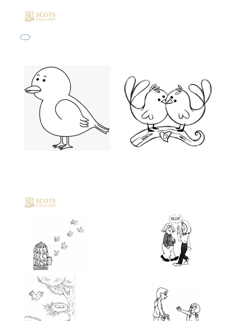 Color and Match Birds Activity | PDF