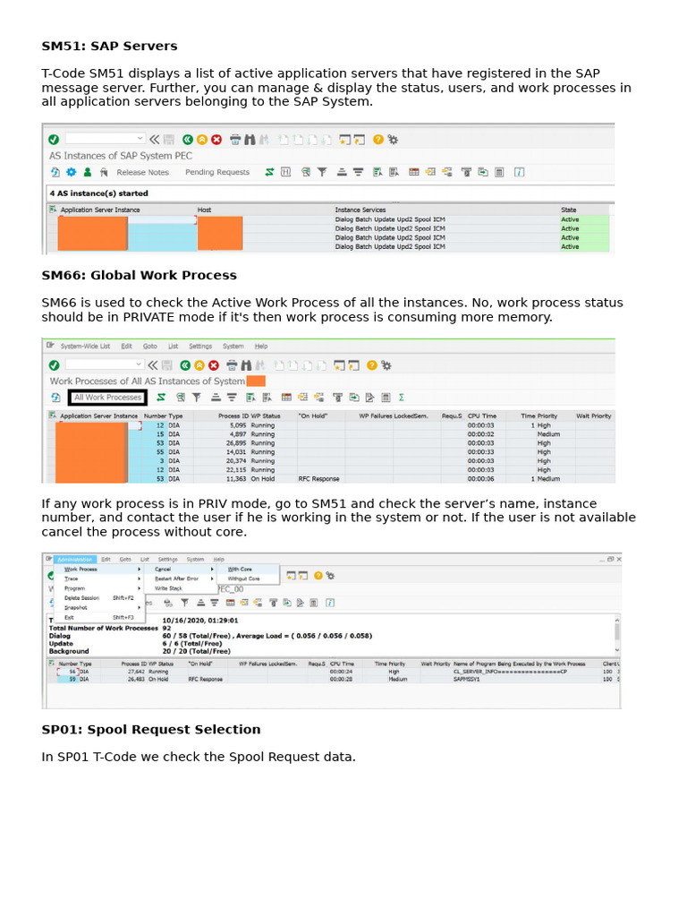 SAP Basis Monitoring Transaction Codes | PDF | Operating System | Databases
