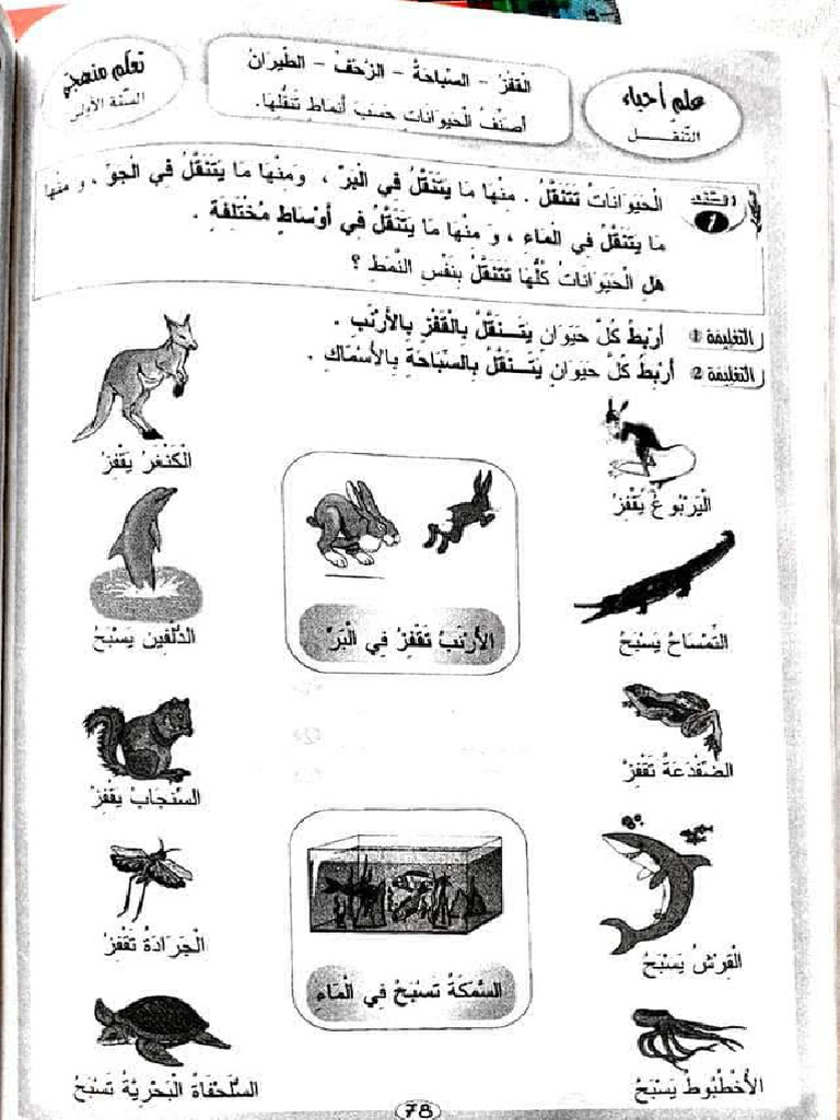 تمارين و تقييمات إيقاظ علمي سنة أولى إبتدائي الثلاثي الثالث - كامل برنامج الثلاثي الثالث 9rayti ...