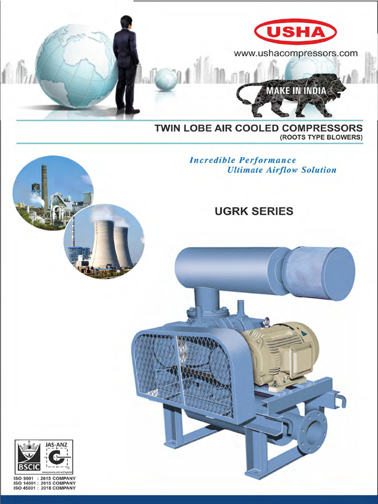 Usha Twin Lobe Root Blowers | PDF
