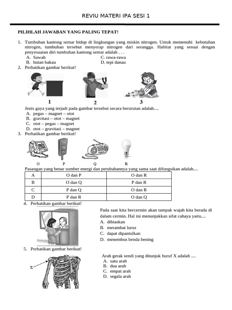 Soal Reviu Materi IPA Sesi 1 | PDF