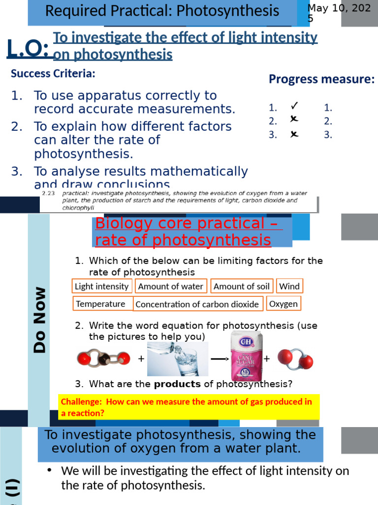 L5 Photosynthesis RP | PDF | Photosynthesis | Oxygen