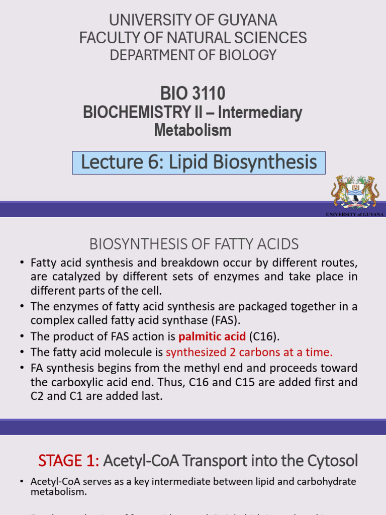 Lecture 6 - Lipid Biosynthesis | PDF | Biosynthesis | Lipid