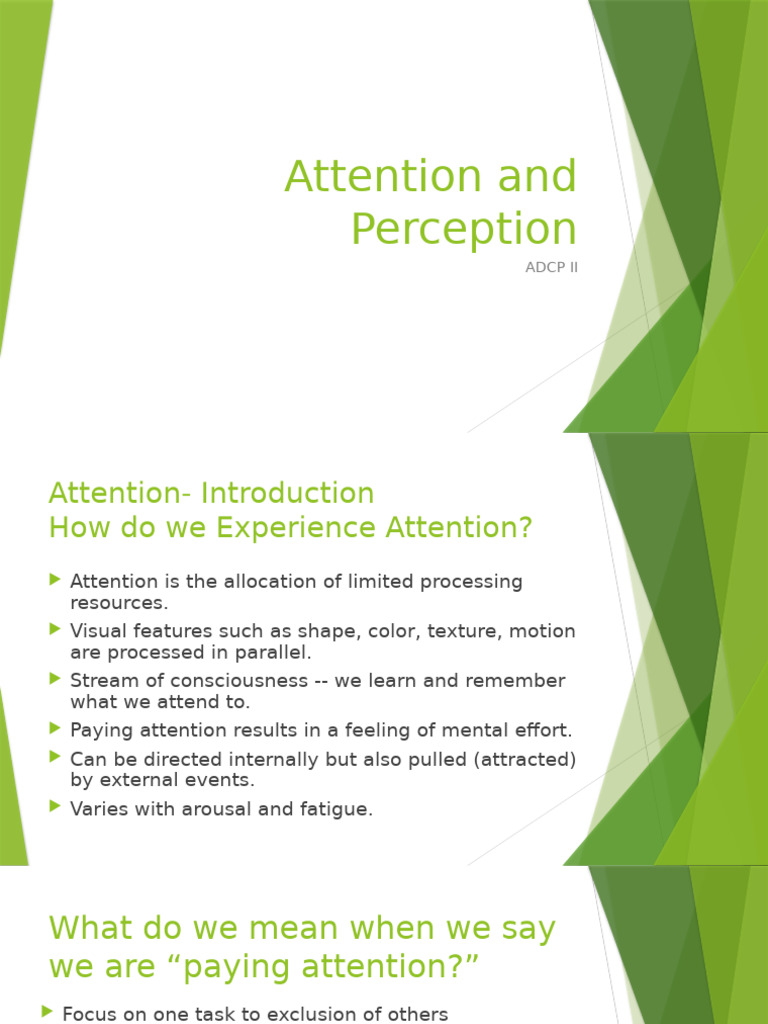 Perception and Attention | PDF | Hallucination | Attention