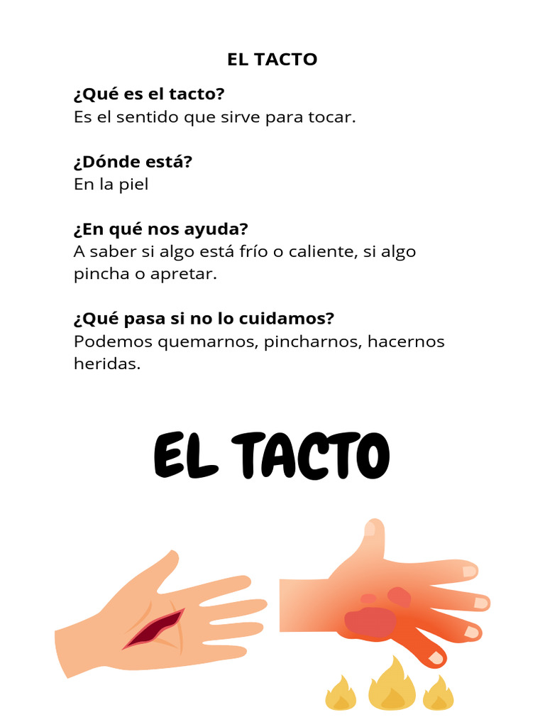 El Tacto: Es El Sentido Que Sirve para Tocar | PDF