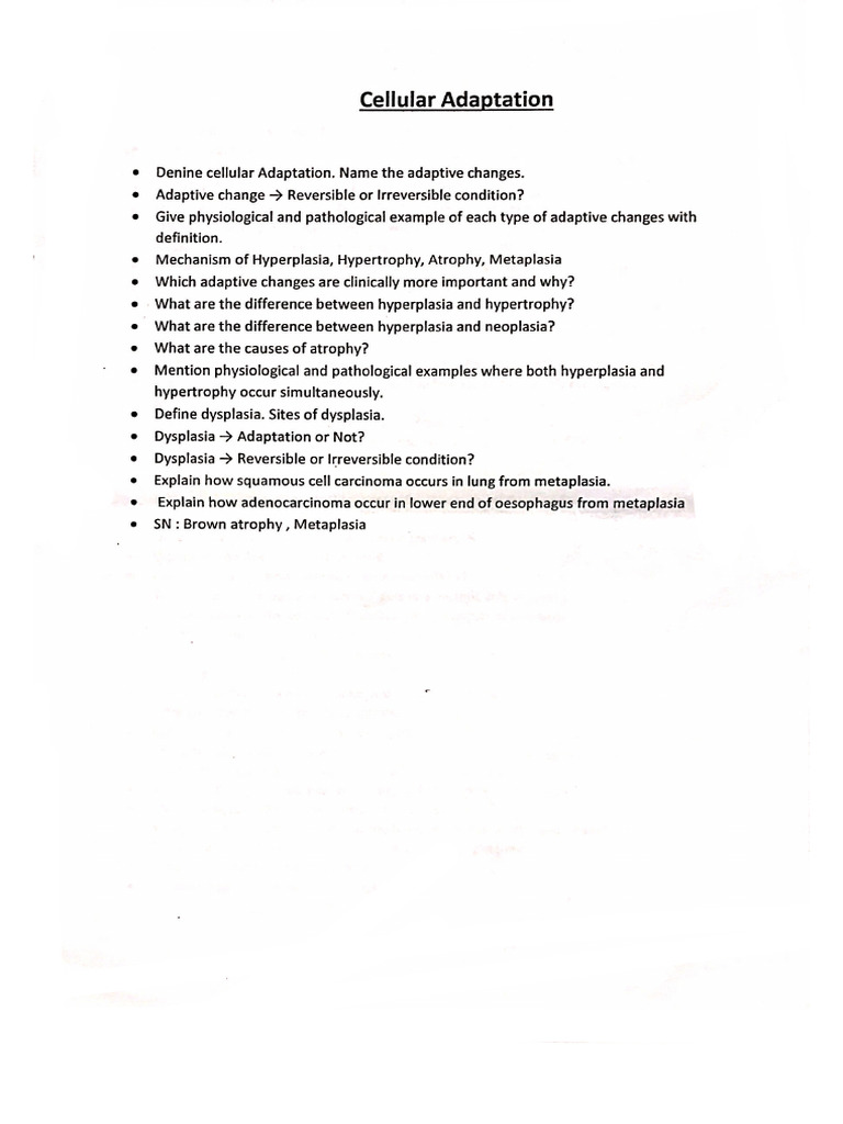 Patho Viva Que Sheet New | PDF