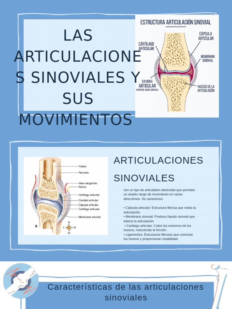 Art Icu Laci Ones | PDF | Articulación | Anatomía
