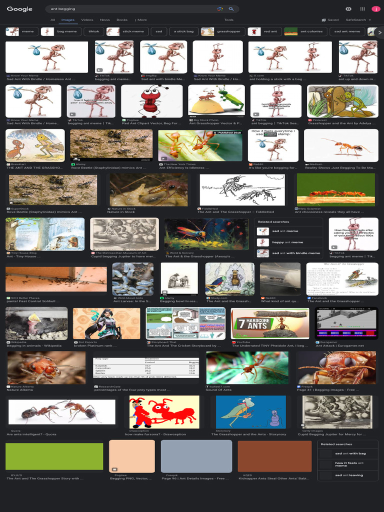 Ant Begging - Google Search | PDF | Insects