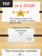 Grade 9 Economy Sectors Overview | PDF | Economies