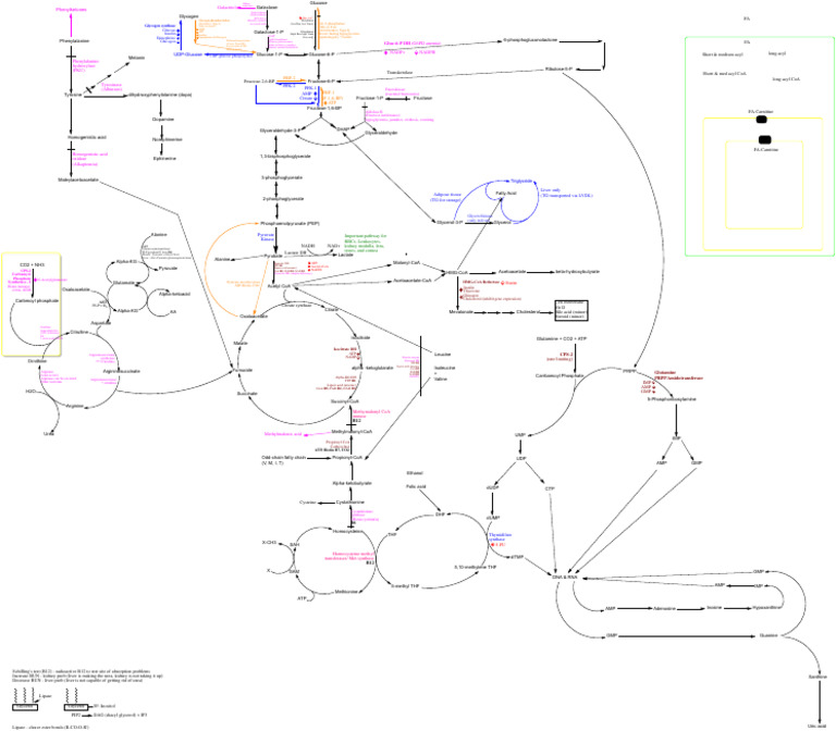 Super Pathway | PDF | Pyruvic Acid | Alanine