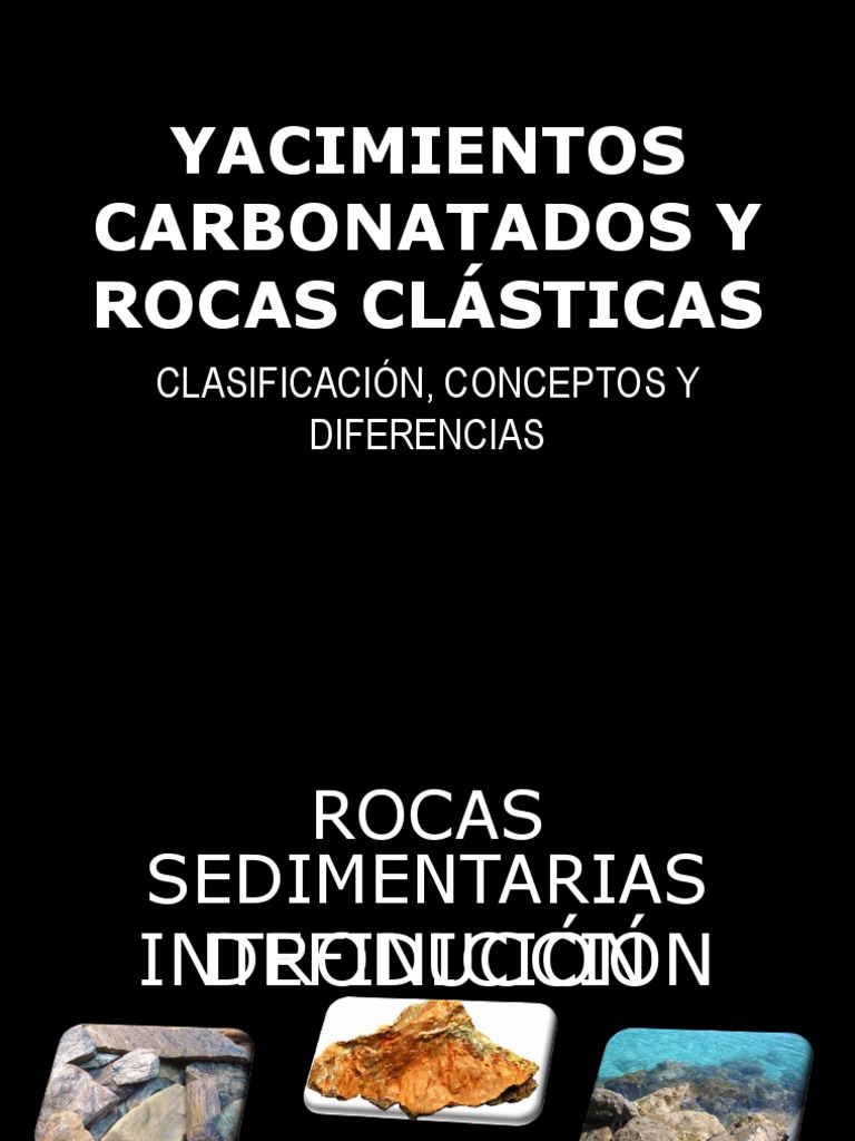 Yacimientos Carbonatados y Rocas Clásticas | PDF | Roca sedimentaria ...