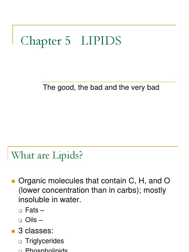 Chapter 5 Lipids | PDF | Fat | Bile