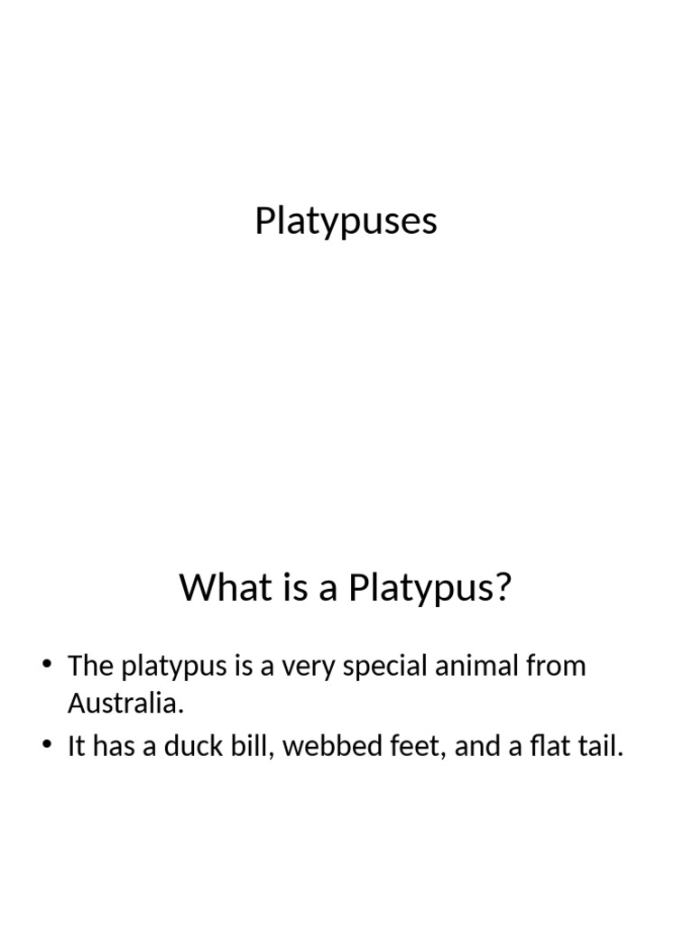 Platypus Presentation A2 | PDF