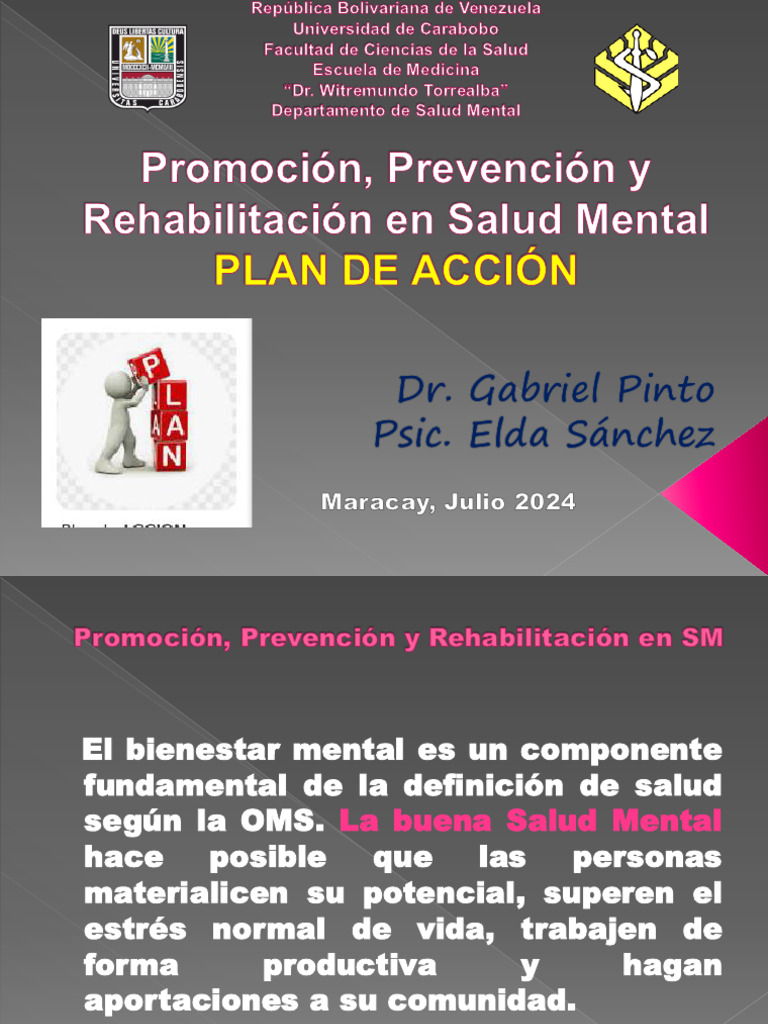 Plan de Acción en Salud Mental 2024 | PDF | Salud mental | Sicología