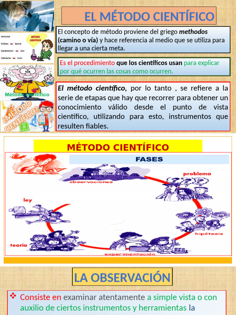 Observación en el Método Científico | PDF