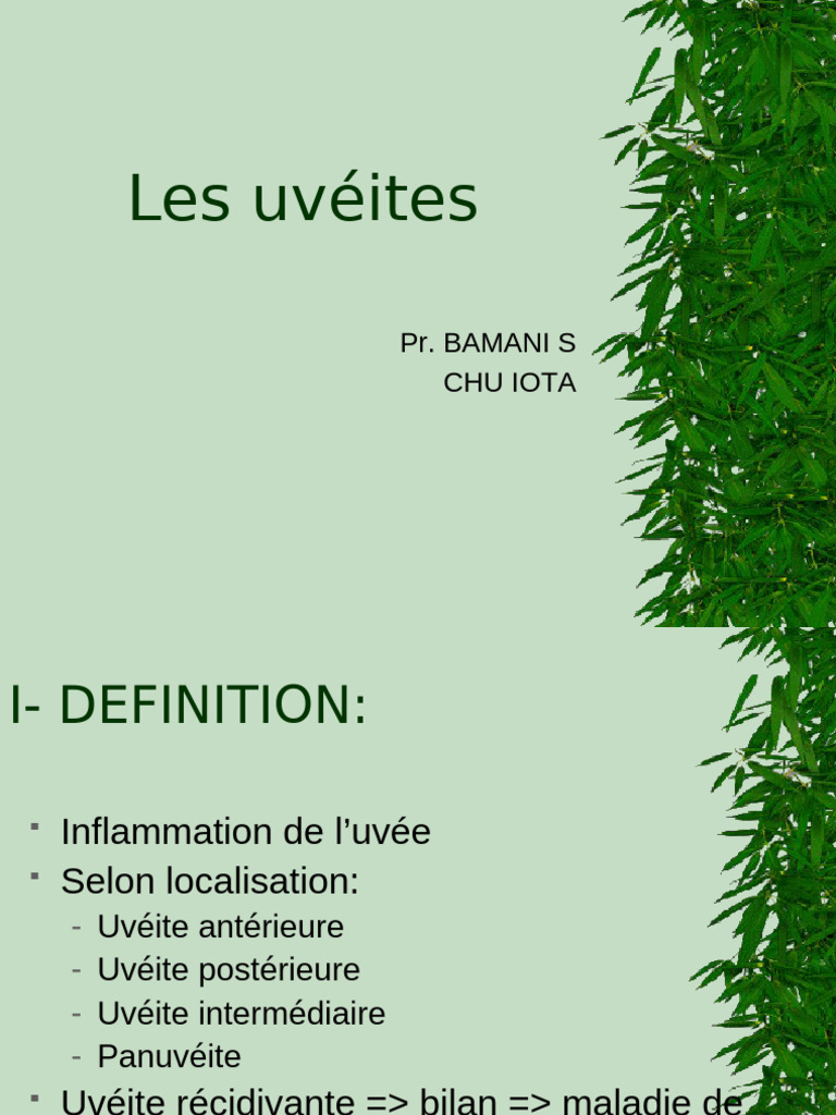Comprendre l'Uvéite : Types et Traitements | PDF | Œil humain ...