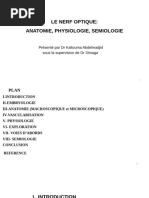 Anatomie du Corps Géniculé Latéral | PDF | Système visuel | Vision