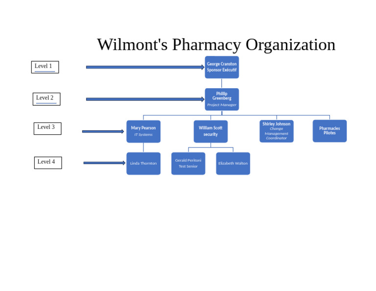 Wilmont's Pharmacy Organizational Structure | PDF