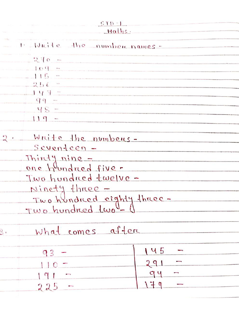 MATH STD-1 Holiday Homework 2025 | PDF