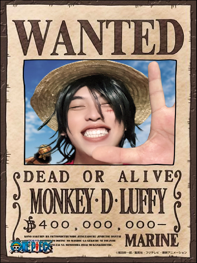 Wanted Poster | PDF