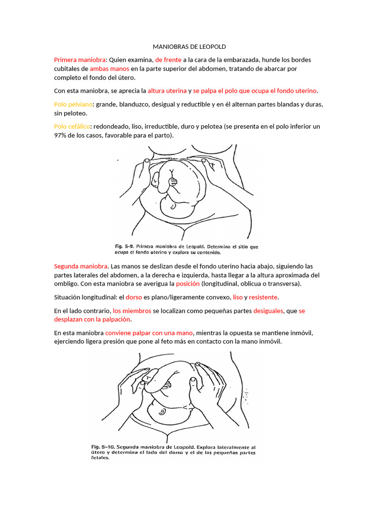 Maniobras De Leopold Guía Práctica Pdf