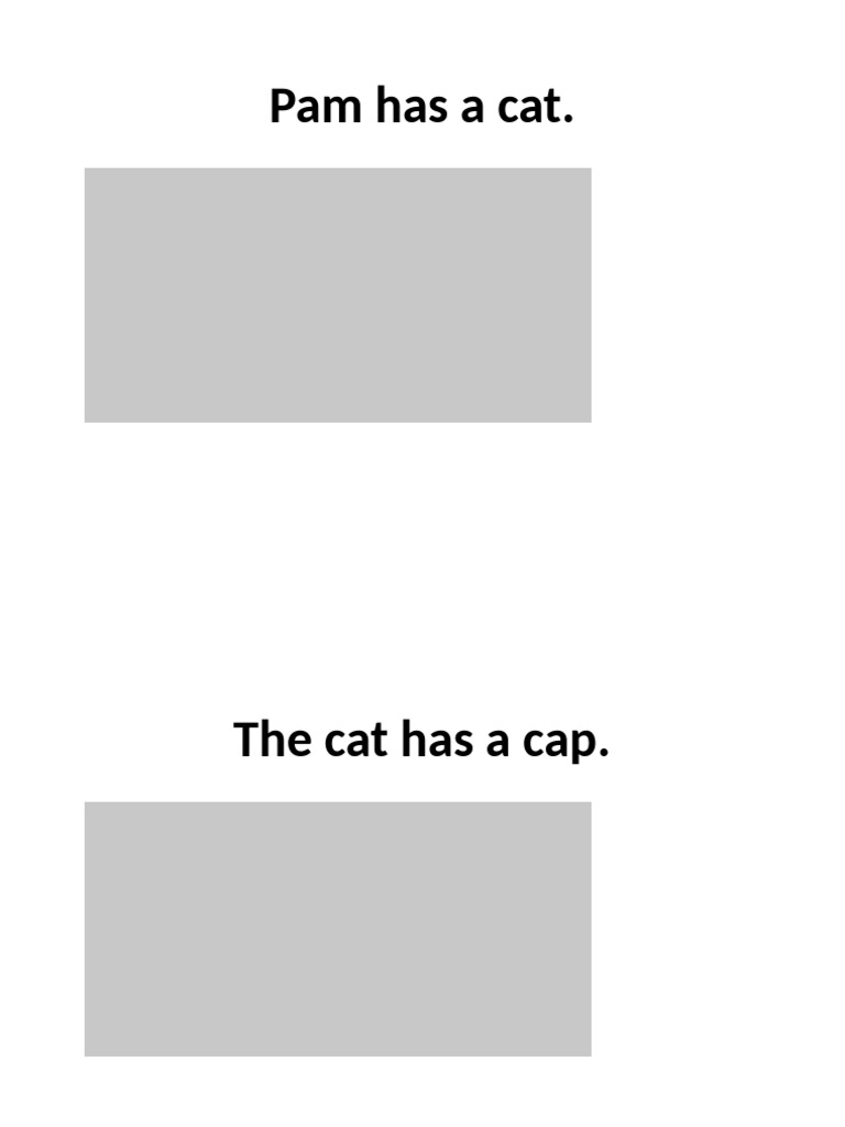 Pam and The Cat Story With Images | PDF