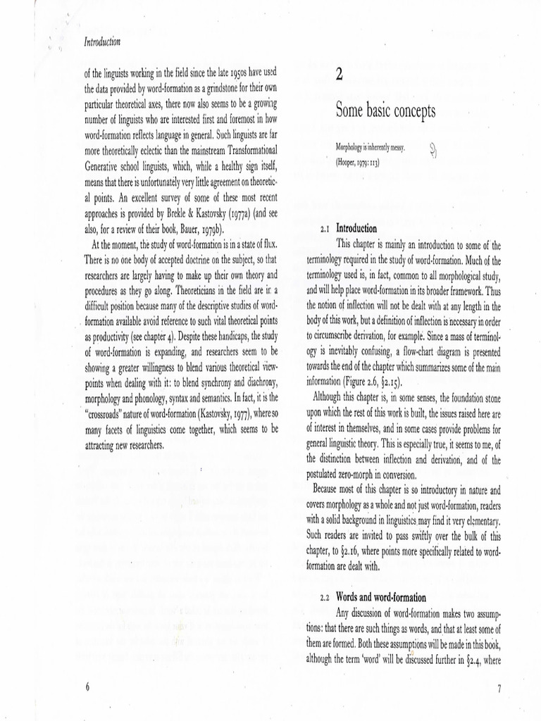 Some Basic Concepts Laurie Bauer 1993 | PDF