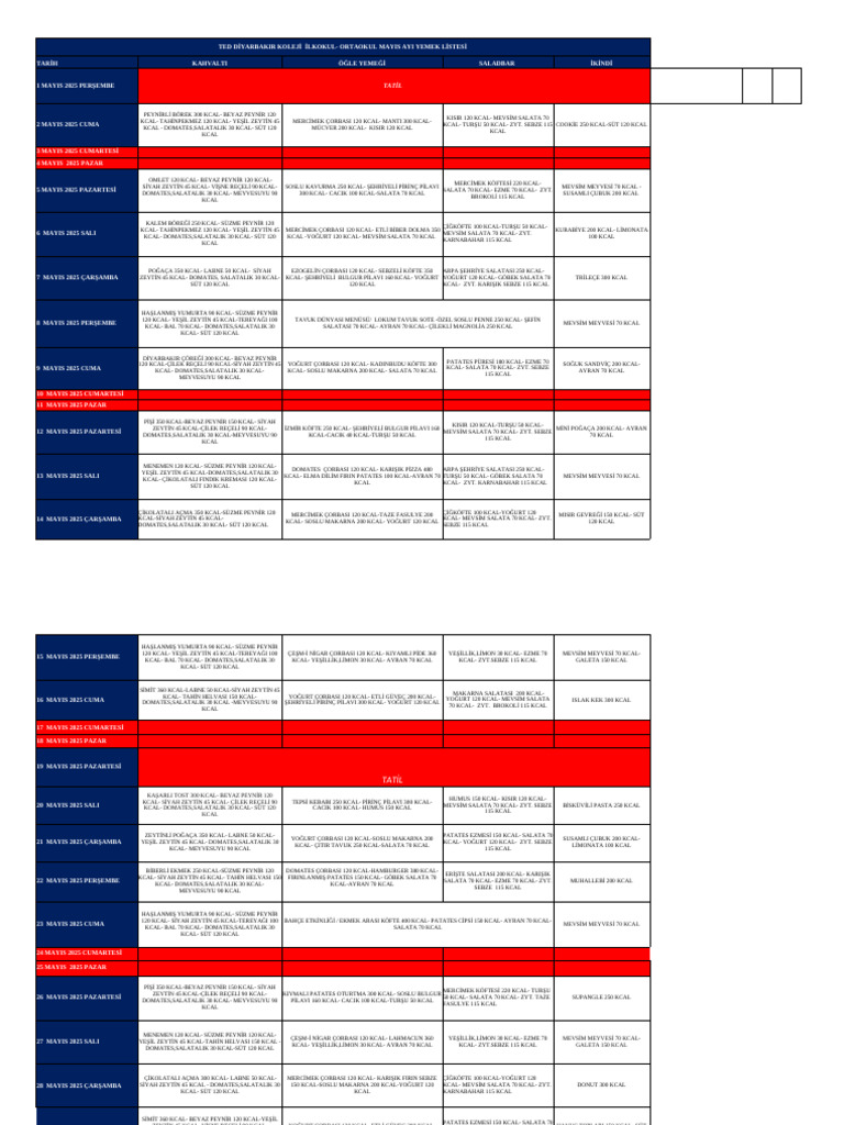 Ted Diyarbakir Koleji Mayis Ayi Yemek Menusu Ilkokul-Ortaokul | PDF