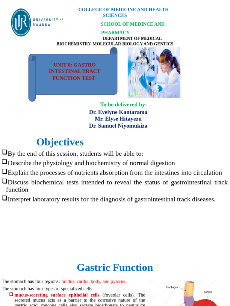 Gastrointestinal Tract Function Tests | PDF | Digestion | Stomach