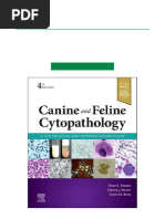 Plant Cell Study Guide | PDF | Cell (Biology) | Plants