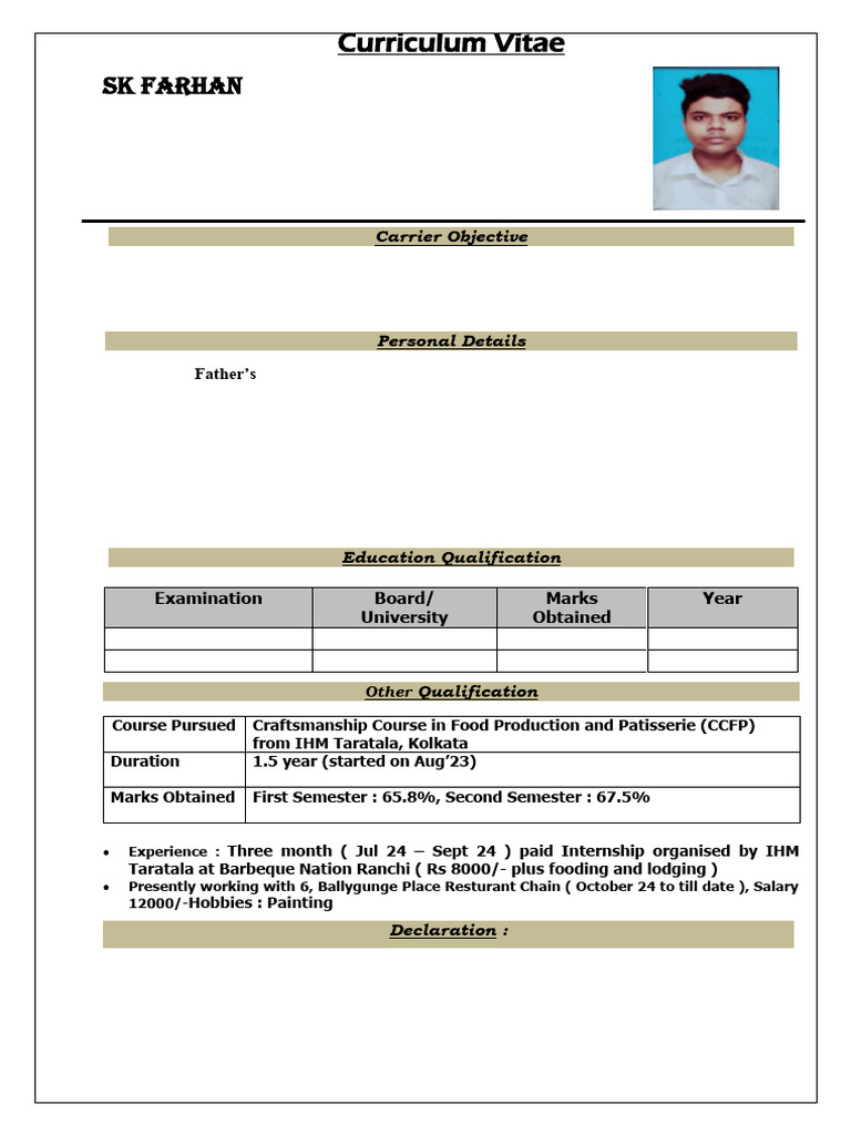 CV SK FARHAN | PDF
