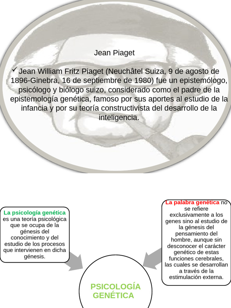 Perspectiva Constructivista - Los Aportes de Piaget | PDF ...