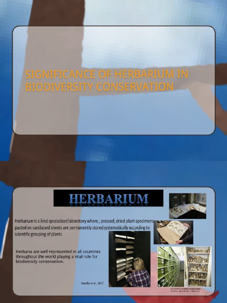 Herbarium | PDF